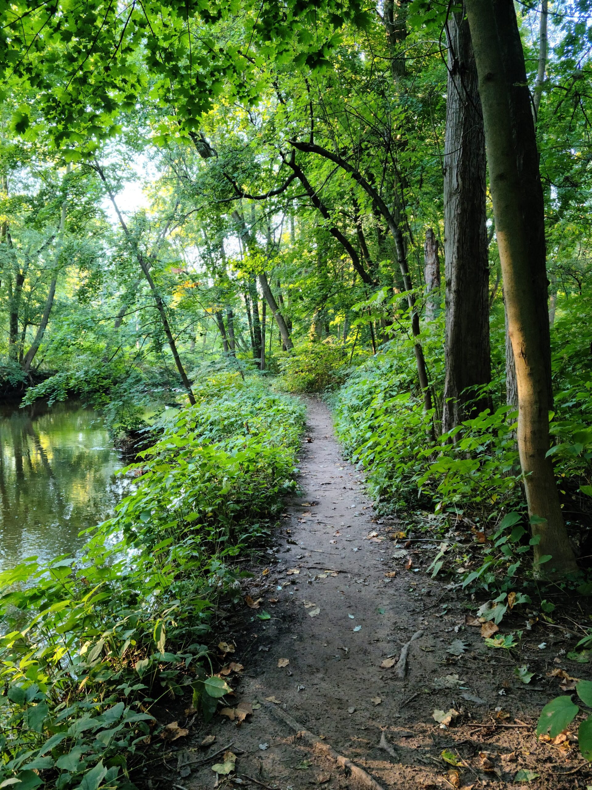 Trails Near And Far - Adventures With Nature